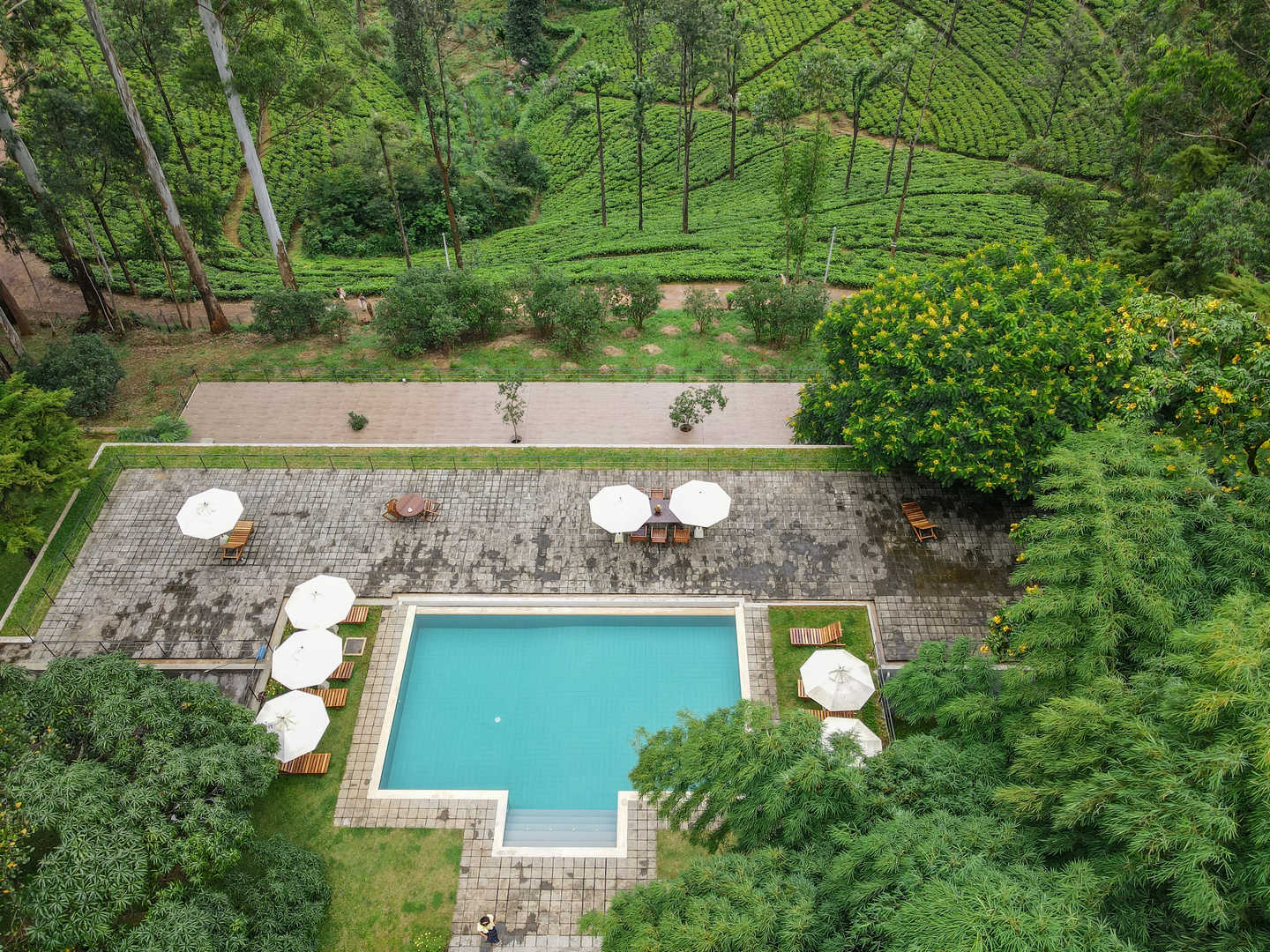 Lavender House By Reveal The Collection, Nuwara Eliya | Wandering Unicorns